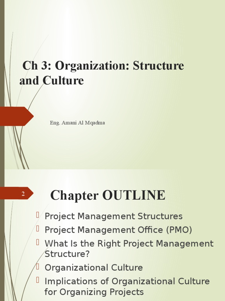 CH 3-Project Management | PDF | Organizational Culture | Project Management