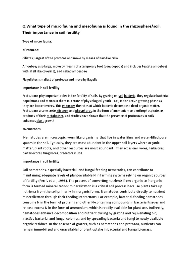 Q What Type of Micro Fauna and Mesofauna Is Found in The Rhizosphere ...