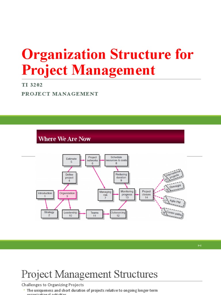 Organization Structure For Project Management | Download Free PDF ...