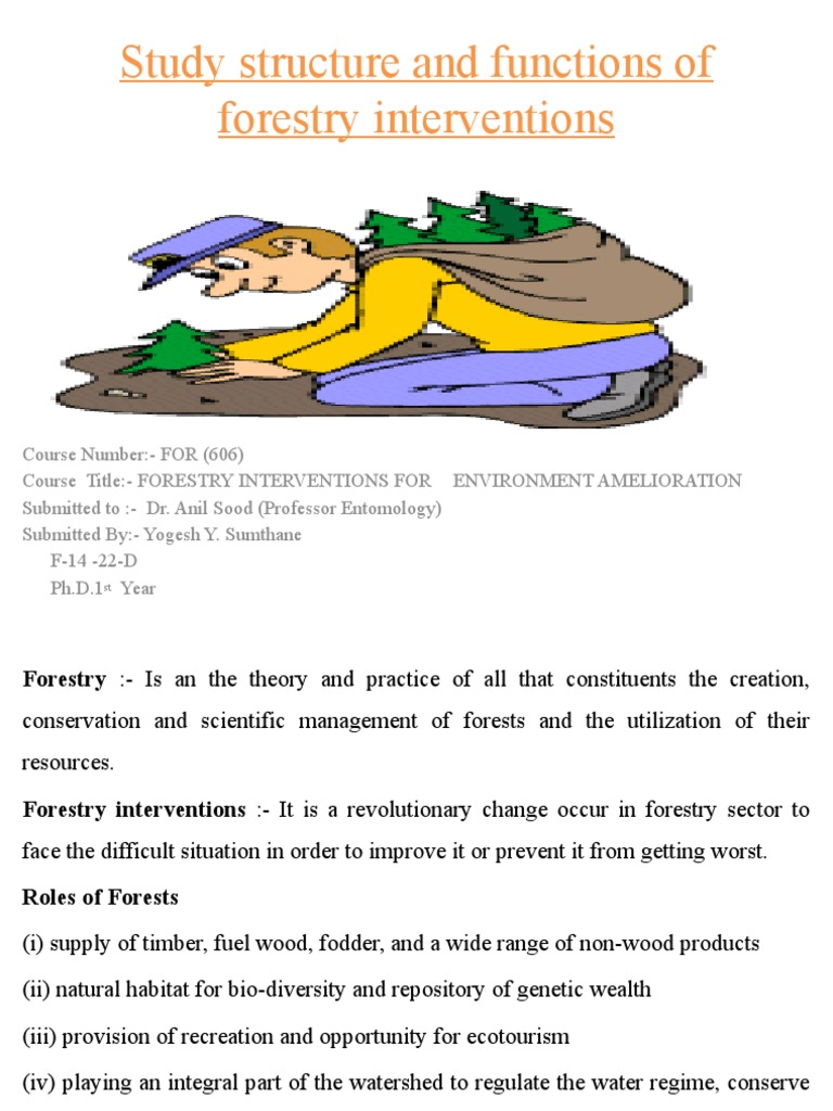 Forestry Interventions for Environmental Improvement | PDF | Forestry ...