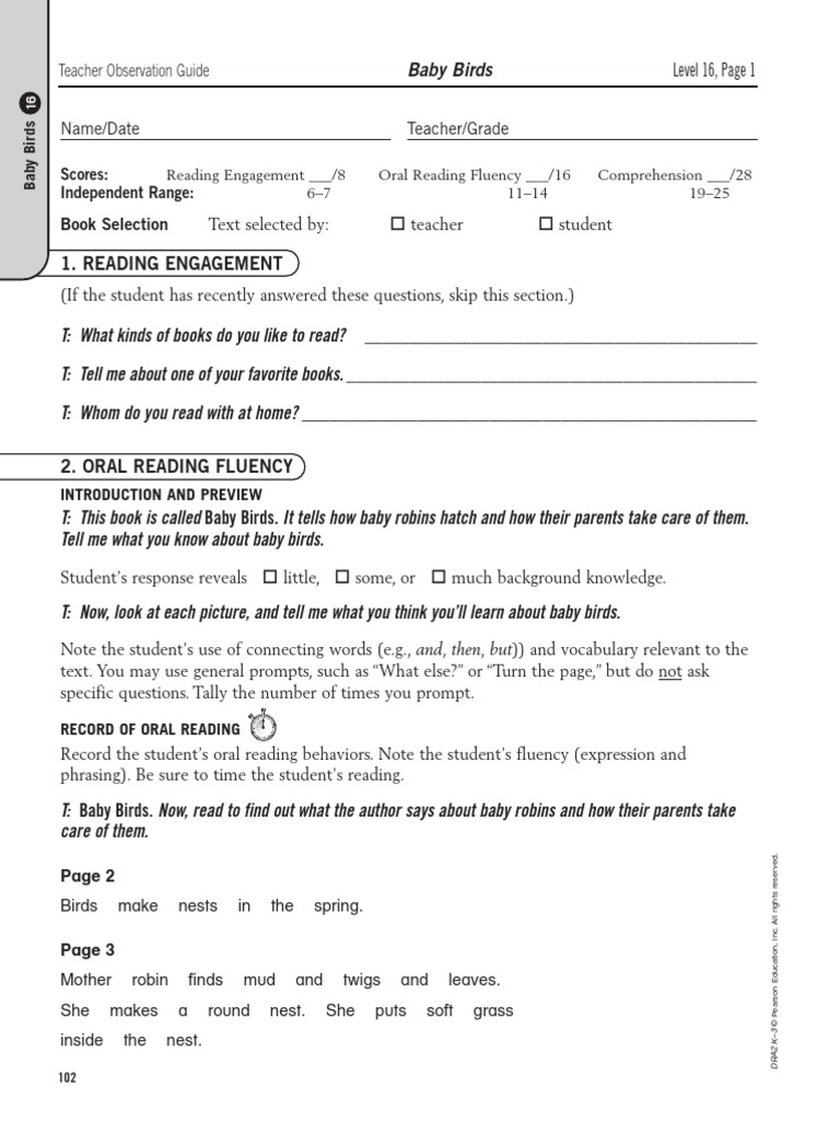 Dra 16-2 | PDF | Reading Comprehension | Cognition