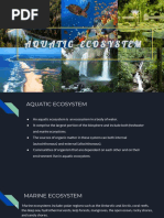 12 Field Guide - Philippine Beach Forest Species | PDF | Plants | Botany