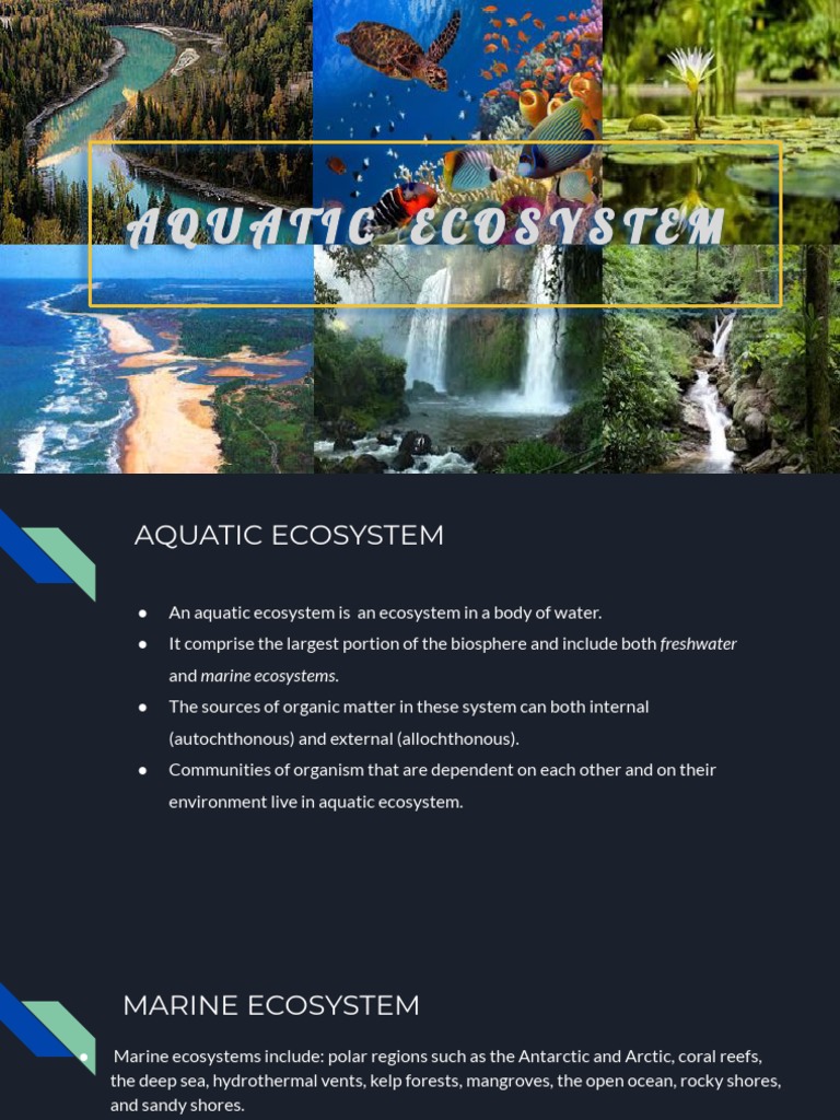 Pee (Module 4) - Aquatic Ecosystem | PDF | Lake | Oceans