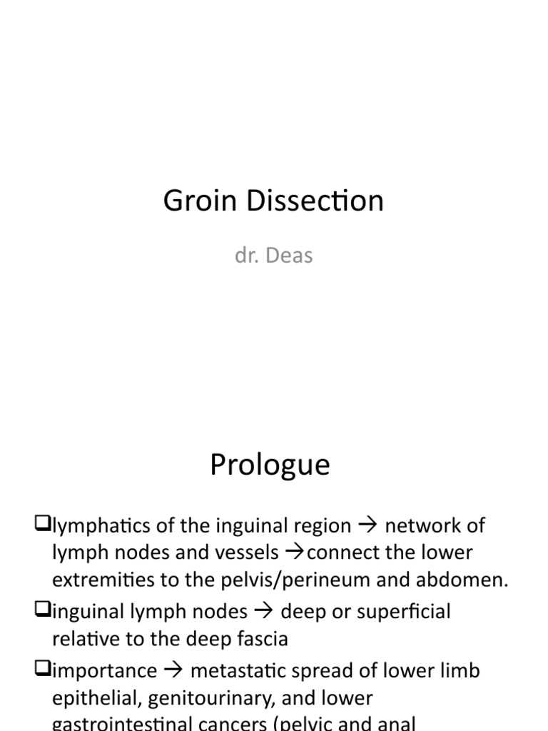 Groin Dissection | PDF | Lymphatic System | Lower Limb Anatomy
