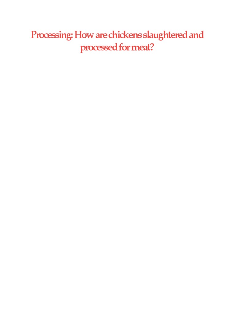 Processing How Are Chickens Slaughtered and Processed For Meat | PDF ...