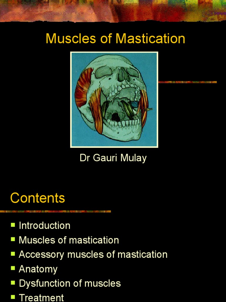 Overview of Muscles of Mastication | PDF | Electromyography | Human ...