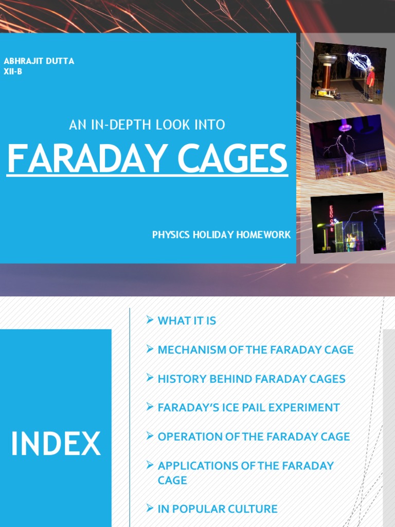 Faraday Cages: An In-Depth Look Into | PDF | Electric Charge | Natural ...