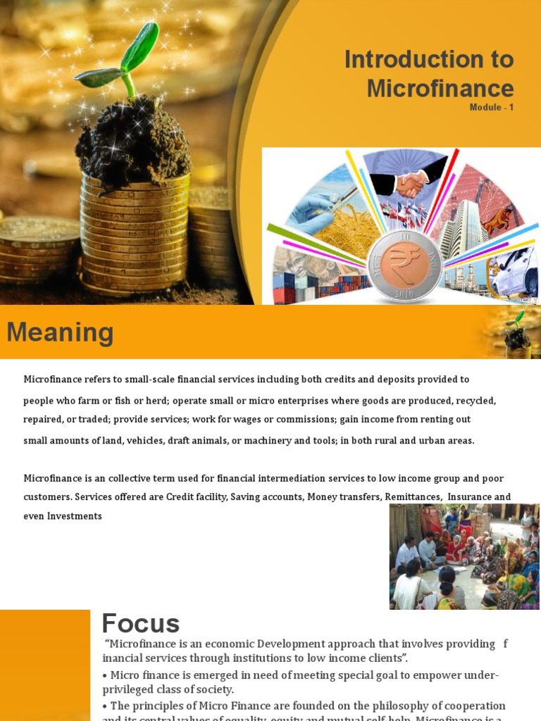 Microfinance Chapter 1 | PDF | Microfinance | Microcredit
