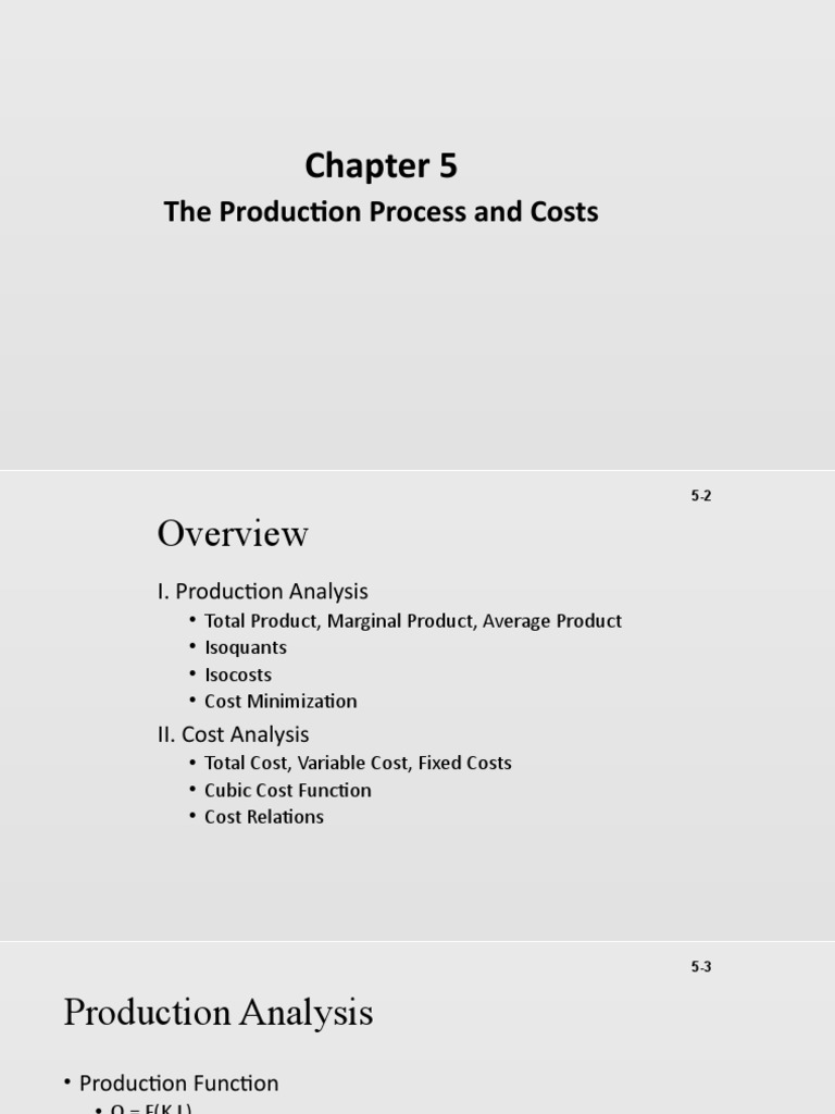 Chapter 5 | PDF | Production Function | Economics