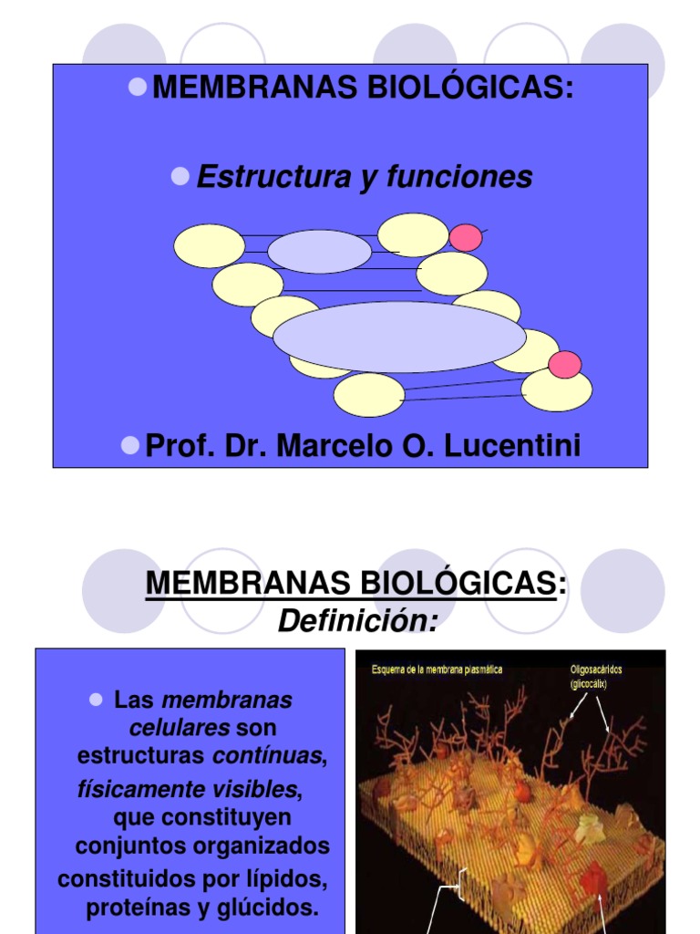12 - Membranas Biologicas | PDF | Membrana celular | Lípido