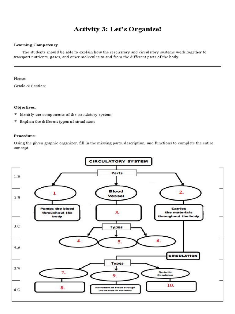 S9.1 Activity 3 (Let's Organize) | PDF