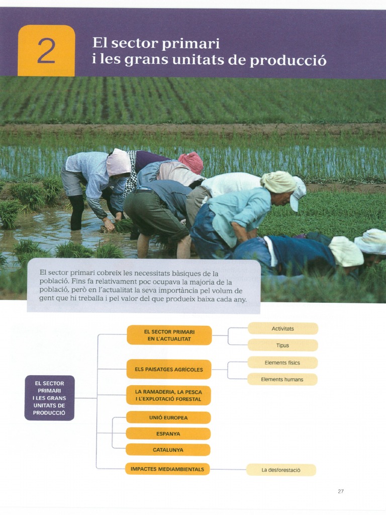 U2.El Sector Primari | PDF