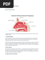Struktur dan Fungsi Anatomi Hidung | PDF