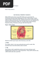 Struktur dan Fungsi Anatomi Mulut | PDF