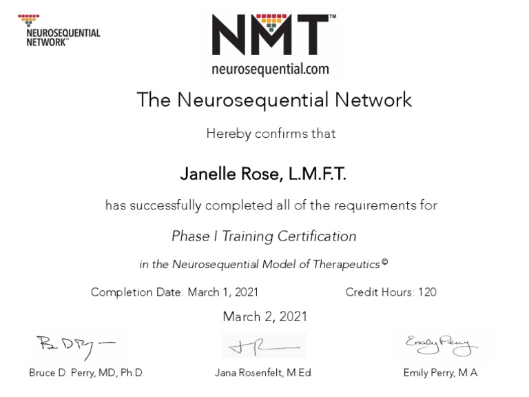 The Neurosequential Network: Janelle Rose, L.M.F.T | PDF