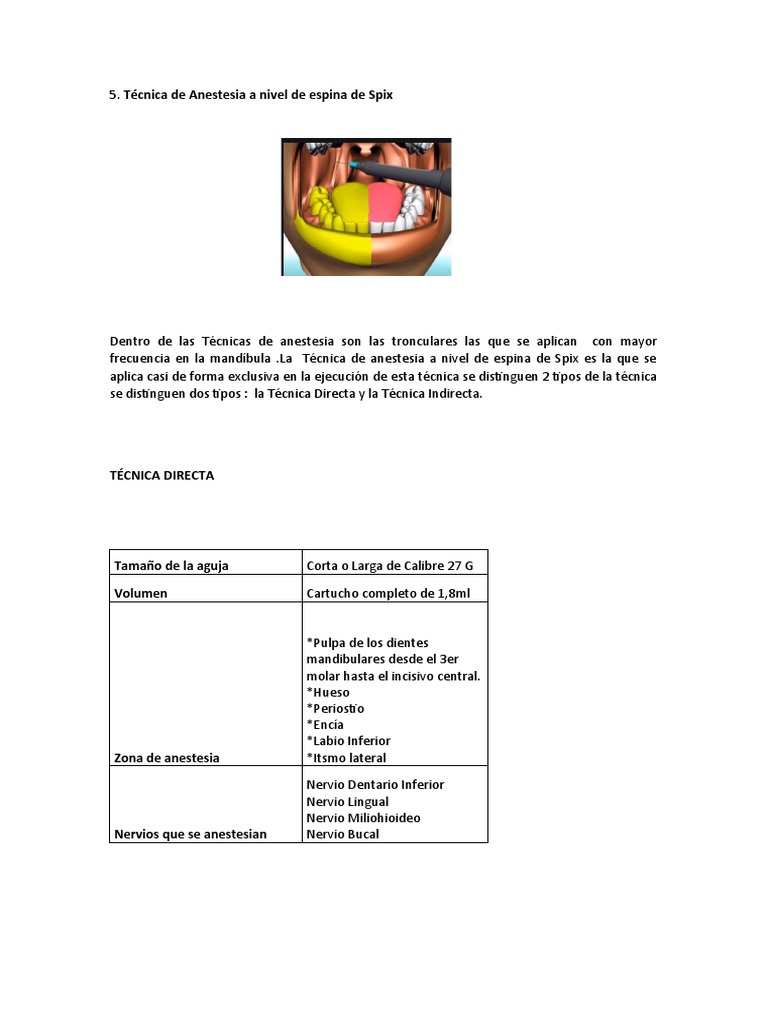 5.técnica de Anestesia A Nivel de Espina de Spix | PDF | Medicina ...