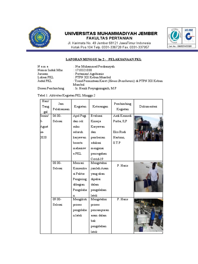 Contoh Logbook PKL Minggu Ke 2 | PDF