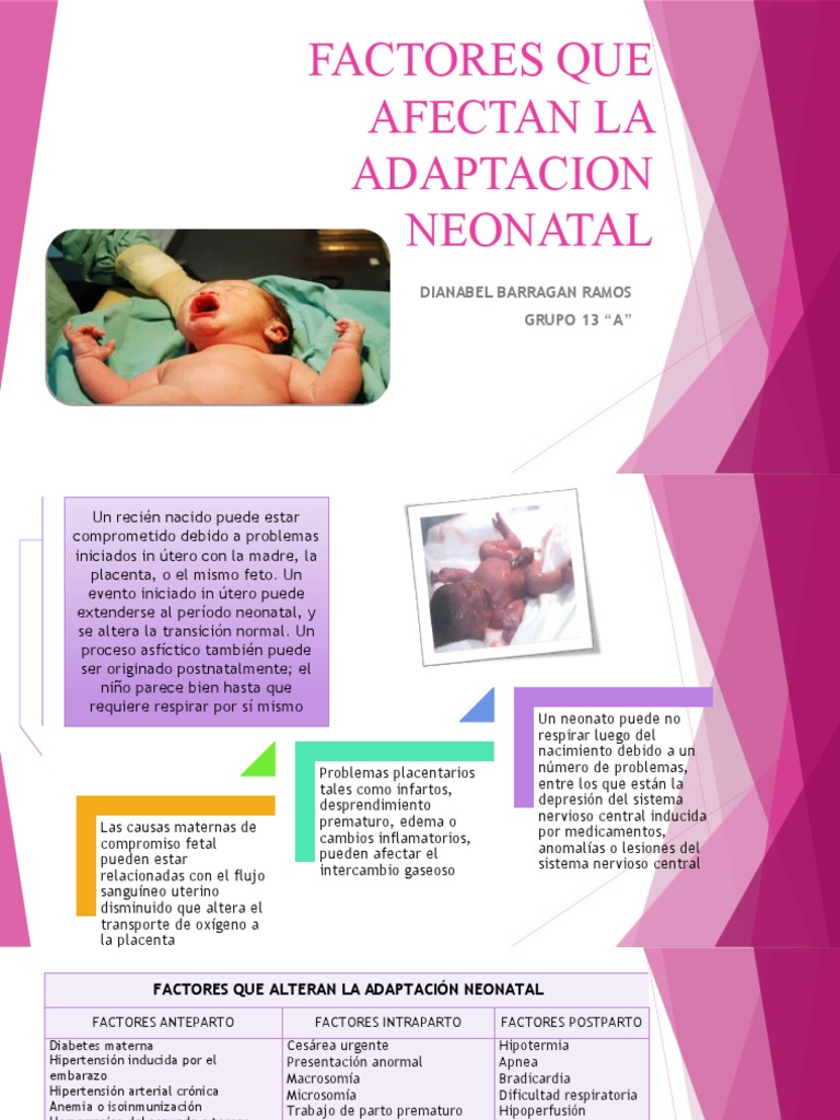 Factores Que Afectan La Adaptacion Neonatal | PDF | Parto | Parto prematuro