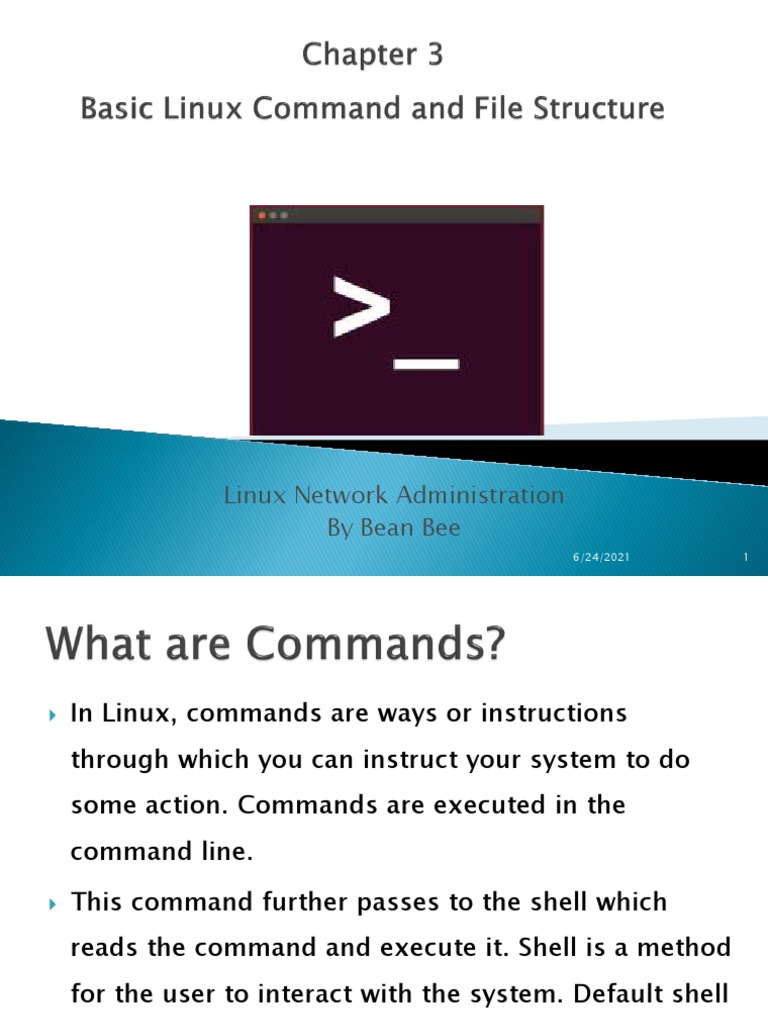 Section 2 Basic Linux Command | PDF | Computer File | Directory (Computing)