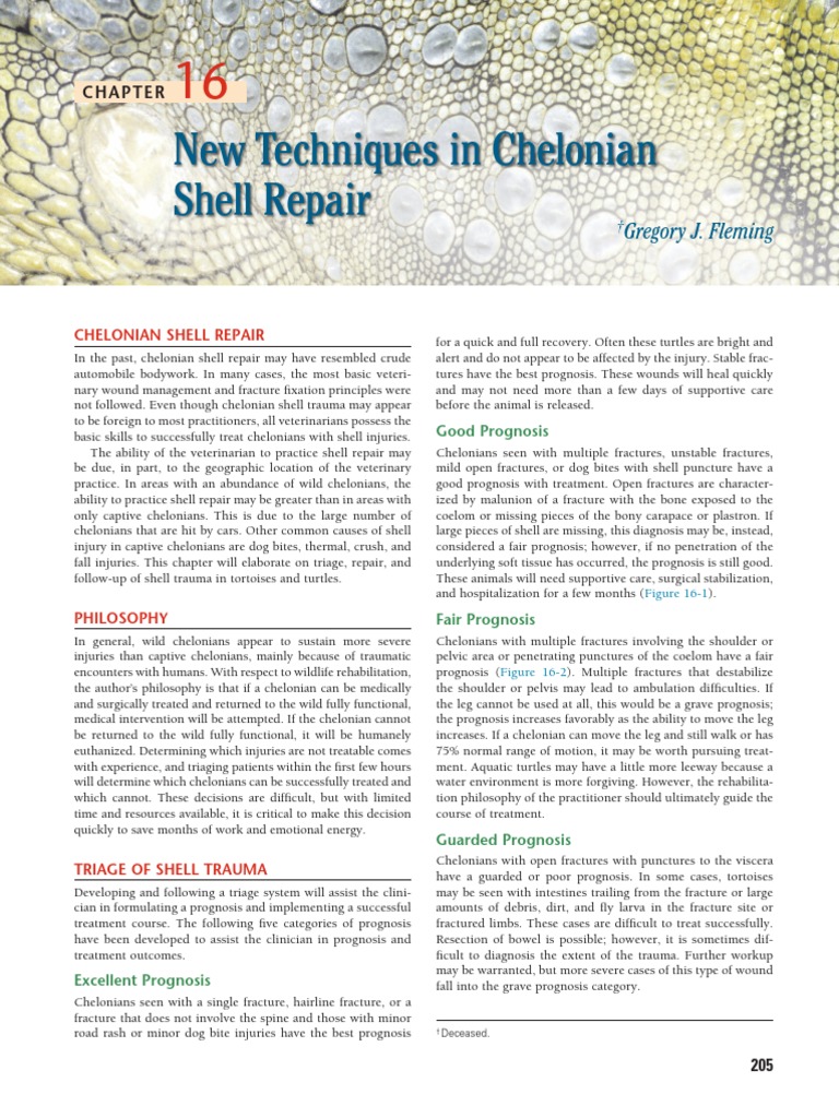 New Techniques in Chelonian Shell Repair | PDF