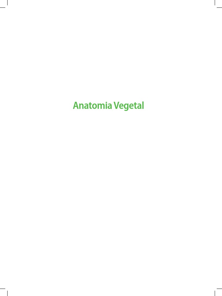 Anatomia Vegetal | PDF | Parede celular | Cloroplastos