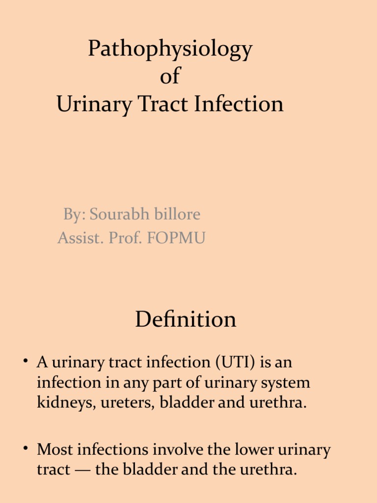 Pathophysiology of UTIs: Causes & Risks | PDF