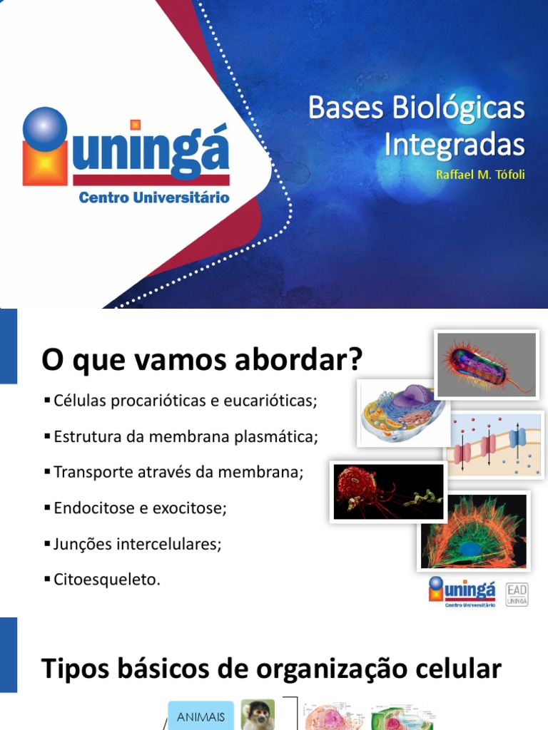 Slides Aula I Bases Biológicas Integradas | PDF | Membrana celular | Osmose
