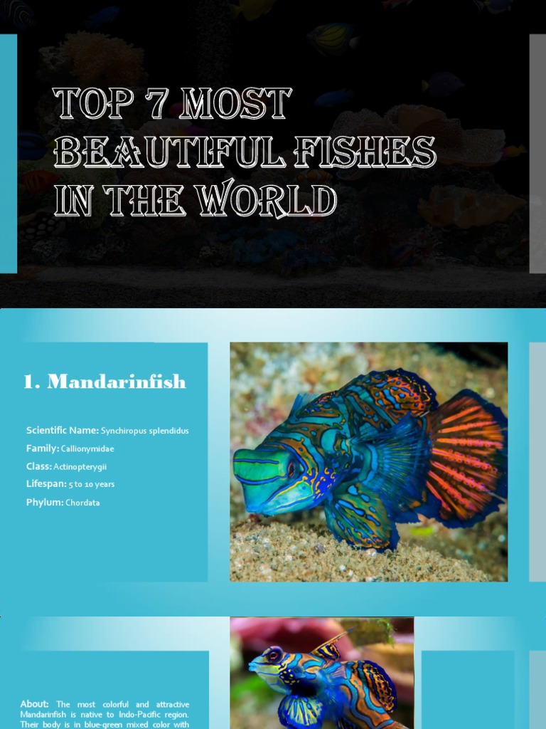 Top 7 Most Beautiful Fishes in The World | PDF | Aquatic Animals | Fish