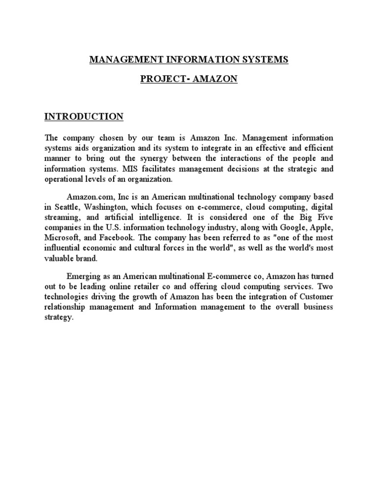 Amazon's Management Information Systems | PDF