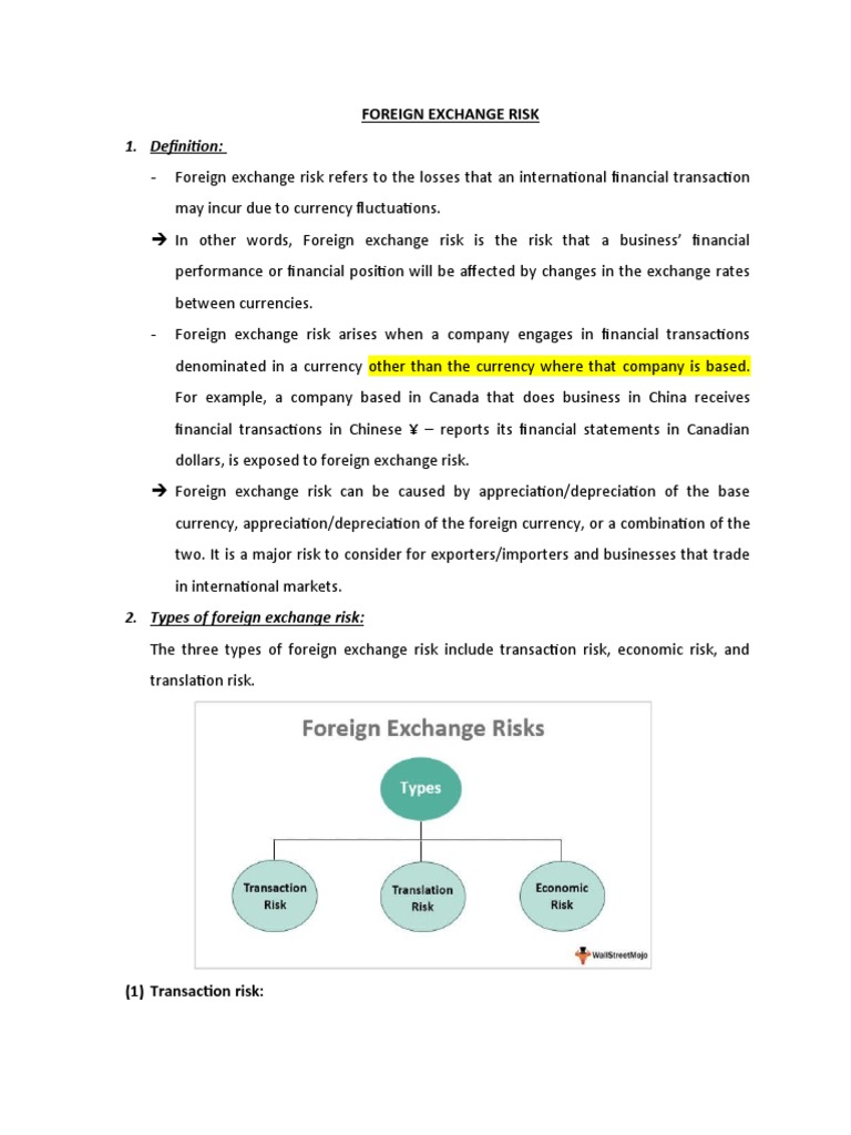 Definition of Foreign Exchange Risk | PDF | Exchange Rate | Microeconomics