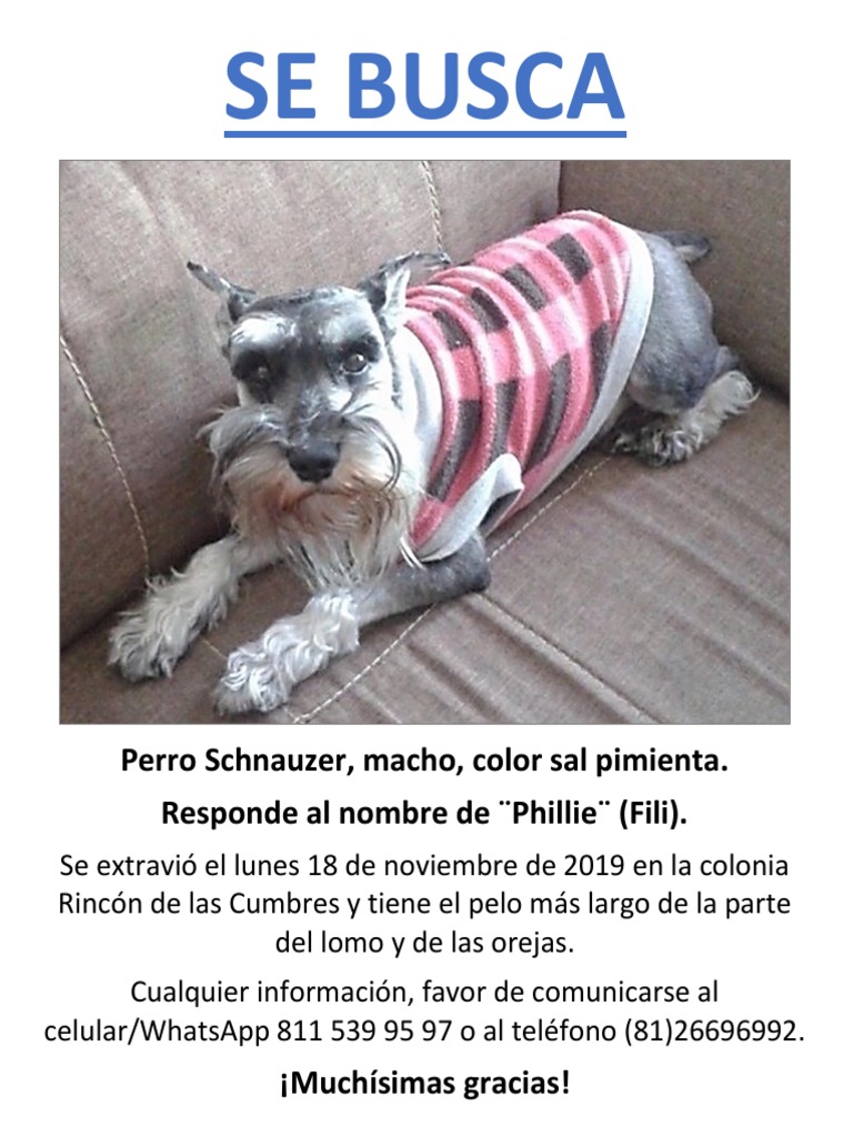 Ejemplo de Anuncio de Perrito Perdido | PDF