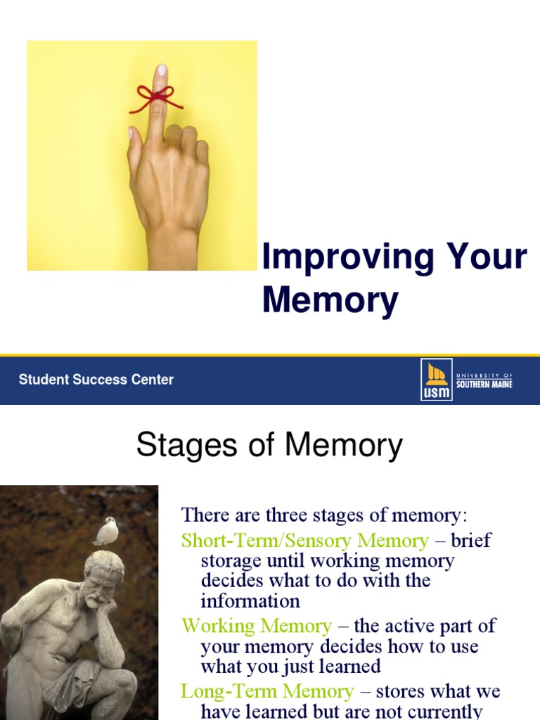 Maximizing Your Memory: A Guide to Improving Recall Through Strategic ...