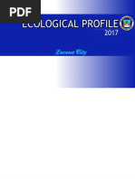 DPWH Pedestrian | PDF | Pedestrian Crossing | Road