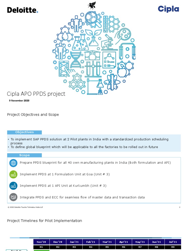 Day 1 PPDS Overview | PDF | Limited Liability Partnership | Law