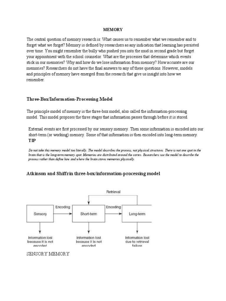 Atkinson and Shiffrin Three-Box/information-Processing Model | PDF | Memory | Long Term Memory