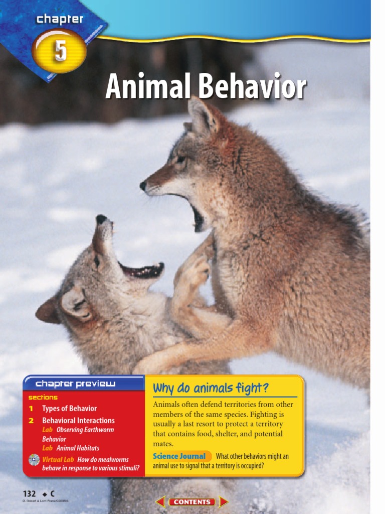 Animal Behavior: Why Do Animals Fight ? | PDF | Instinct | Classical ...