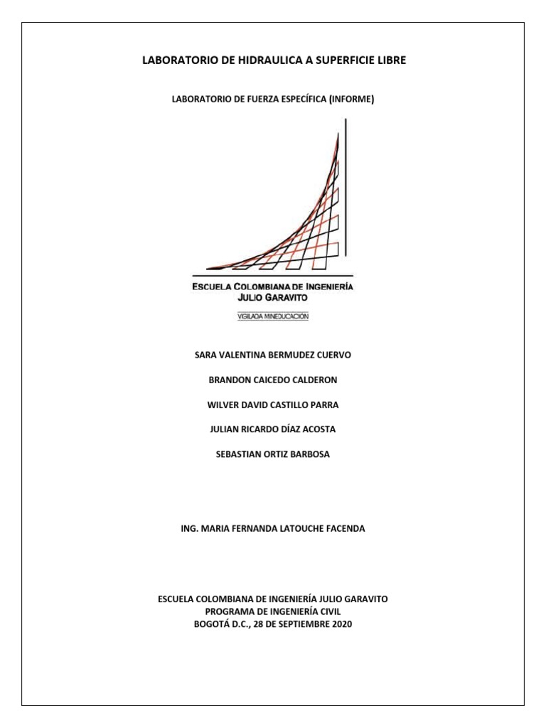 Análisis de Fuerza Específica en Canales | PDF | Fuerza | Descarga ...