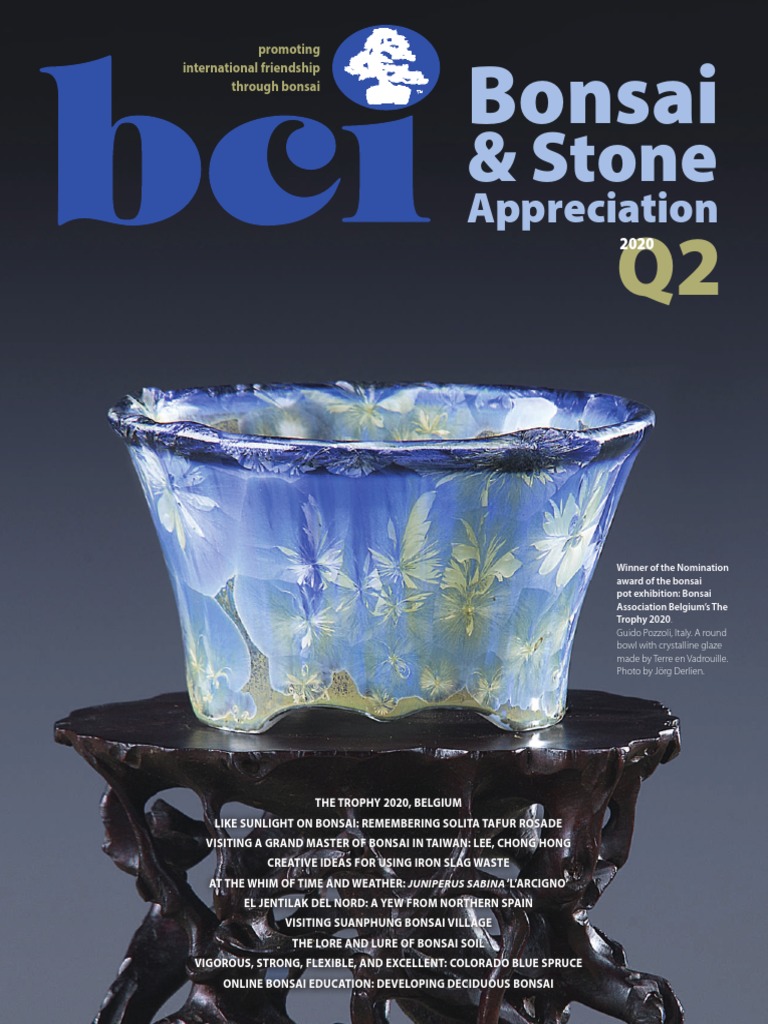 Bci 2020 Q2 | PDF | Bonsai | Trees