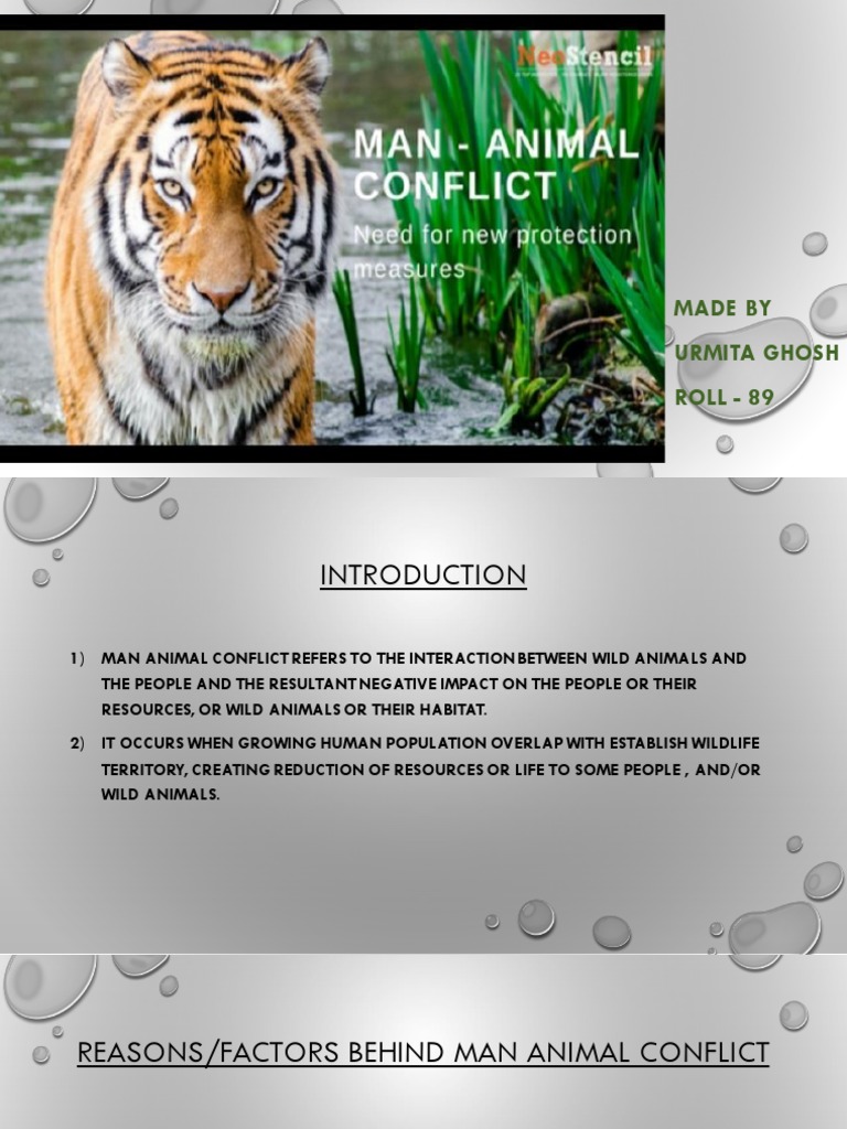 Man Animal Conflict | PDF | Tiger | Ecology