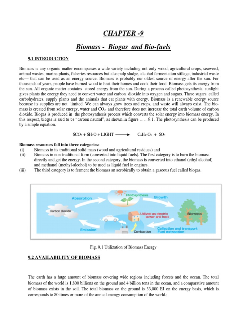 CH-9 Biomass | PDF | Biomass | Biodiesel