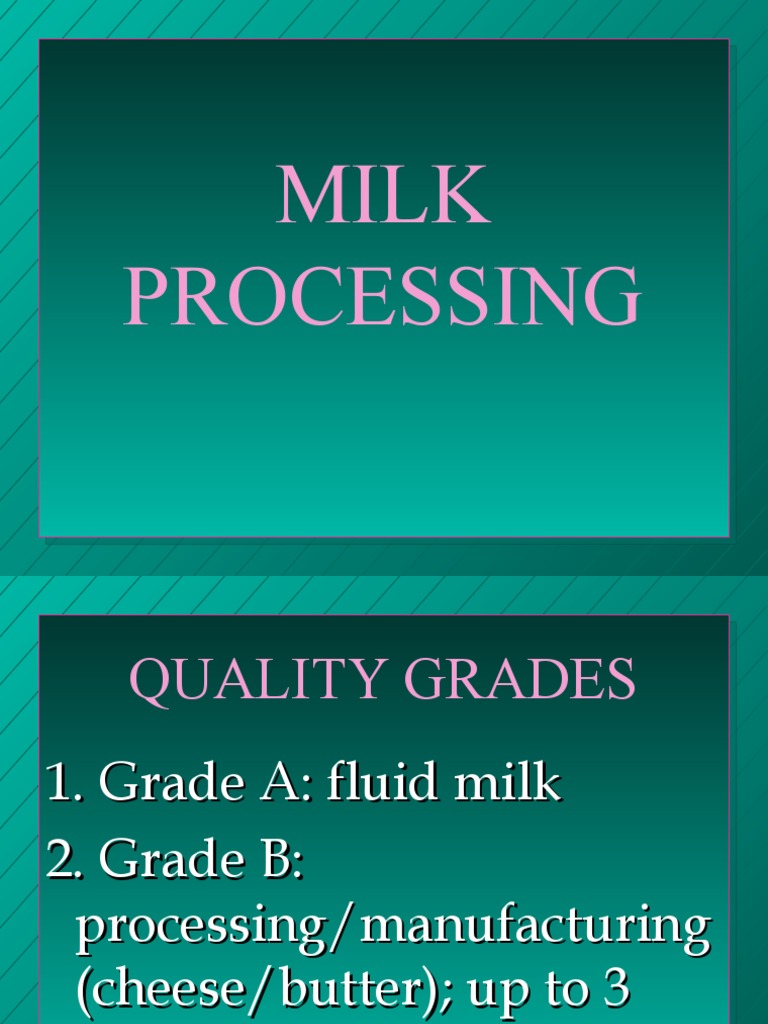 Milk Processing and Quality Grades | PDF