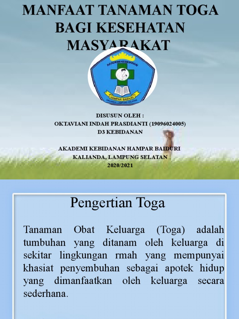 Manfaat Tanaman Toga untuk Kesehatan | PDF