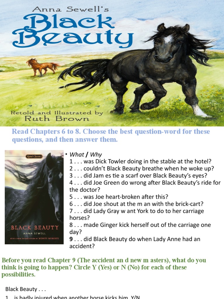 Questions and Predictions for Black Beauty | PDF