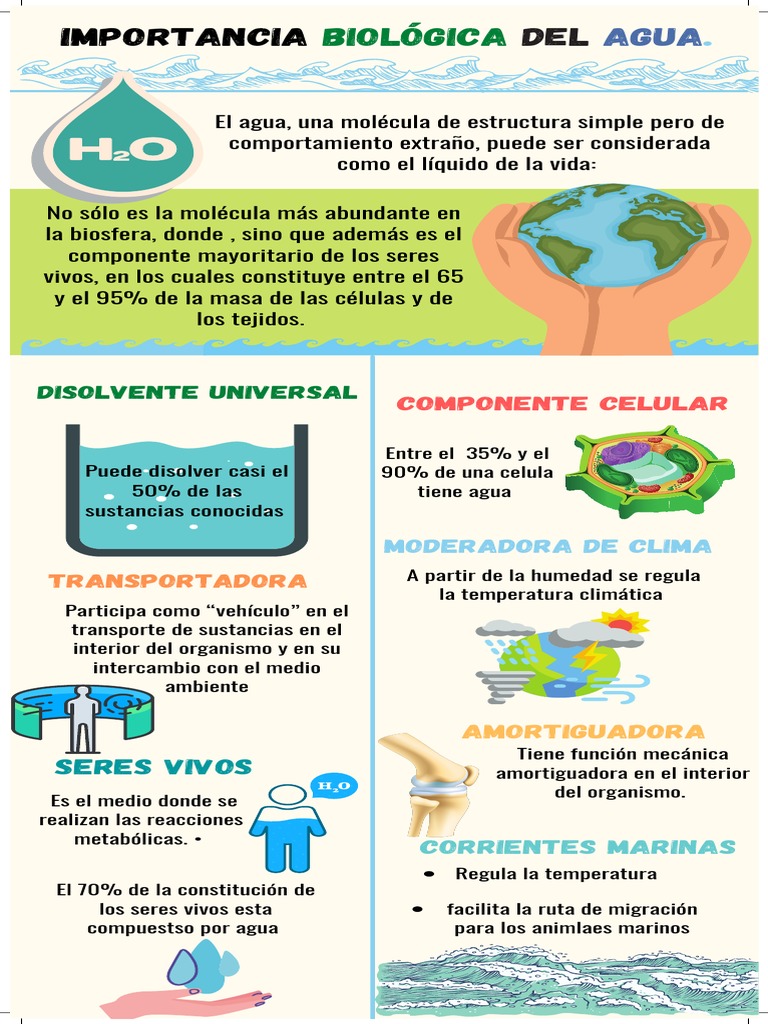 Importancia Biológica Del Agua | PDF