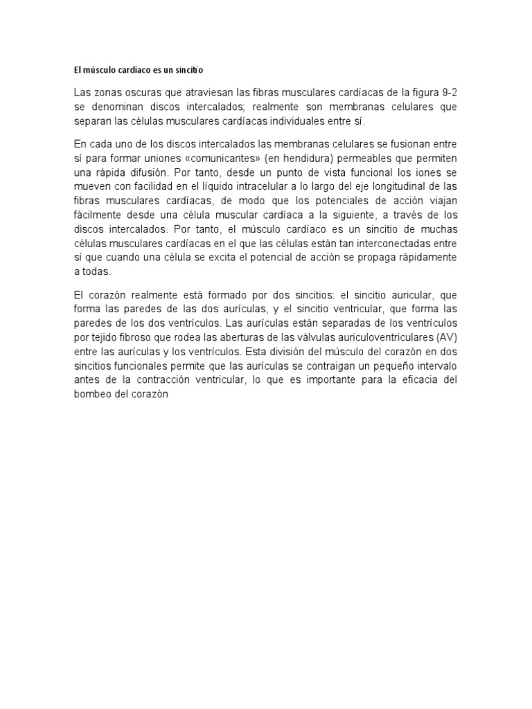 El Músculo Cardíaco Es Un Sincitio | PDF