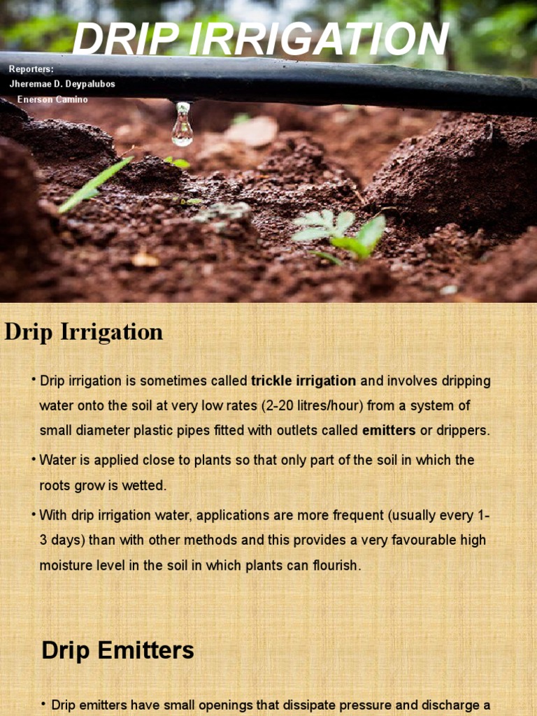 Drip Irrigation Report | PDF | Irrigation | Soil