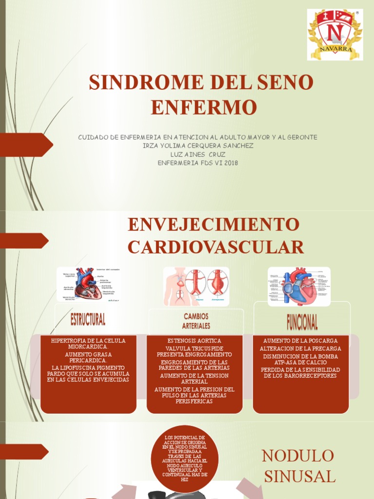 Sindrome Del Seno Enfermo Yoly y Luz Aines | PDF | Cardiología ...