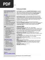 Sailpoint Developer Resume 1 | PDF
