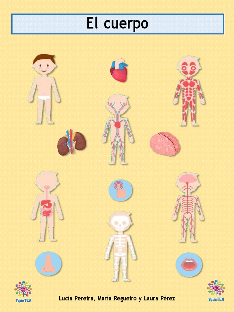 El Cuerpo Humano Unidad Dida Ctica NEAE (38040) | PDF | Sistema ...