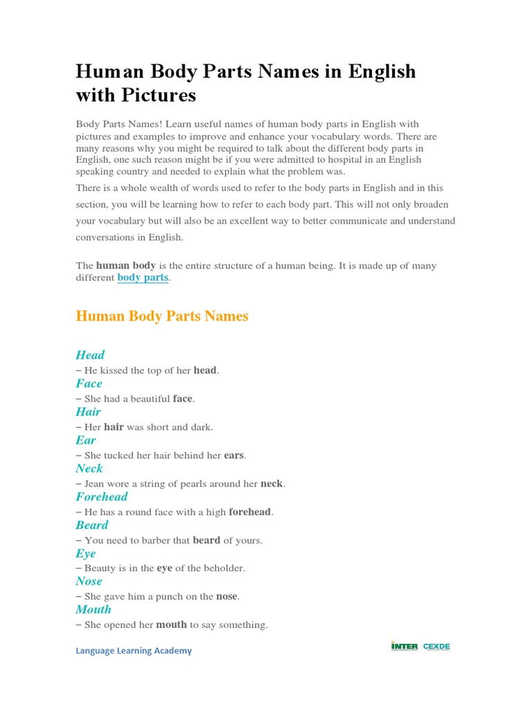 An Extensive Guide to Human Body Parts Names in English with ...